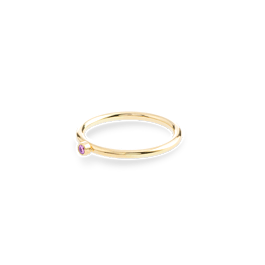 Gender Reveal Ring Deluxe | Vedder & Vedder