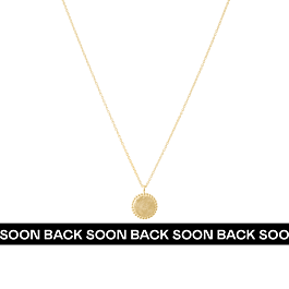 Bubble Fingerprint Coin Ketting | Vedder & Vedder